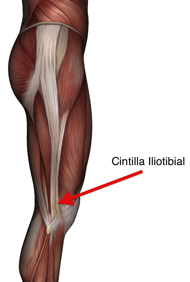 SÍNDROME DE LA CINTILLA ILIOTIBIAL (O DEL CORREDOR) - SANFIS Fisioterapia